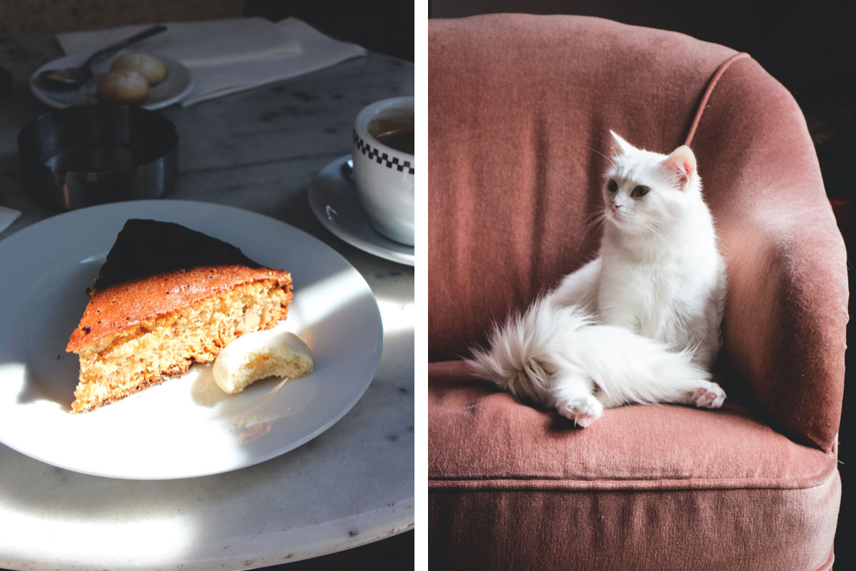 double - sut cake - Butterlust